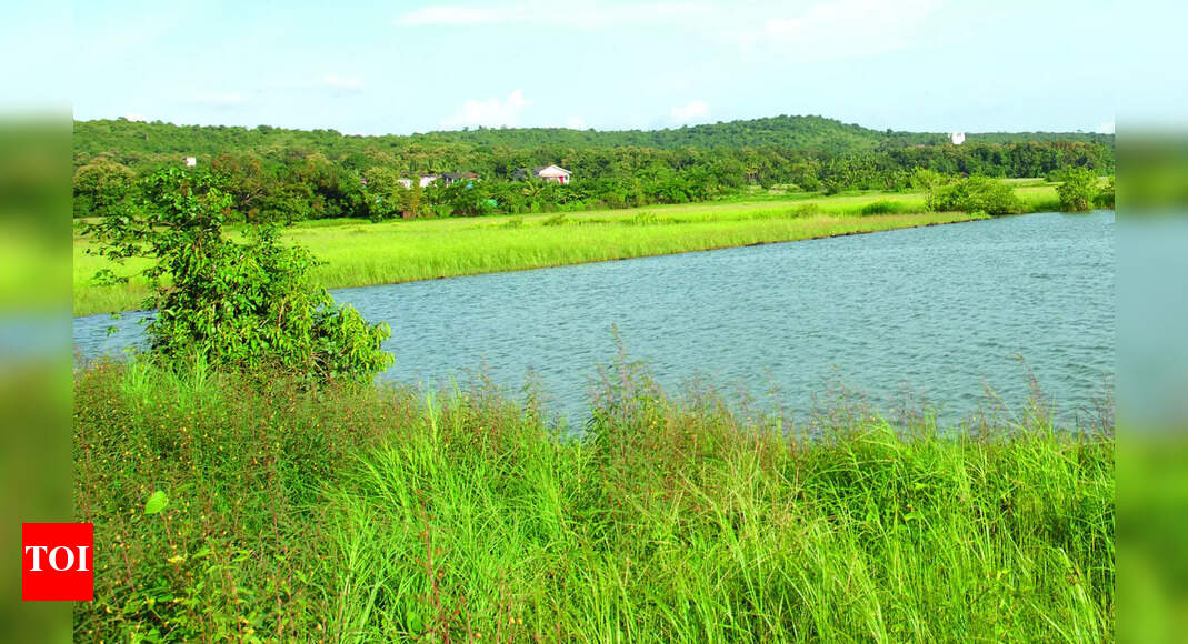 Goa plans to set up board to revive khazan land, will override TCP Act ...