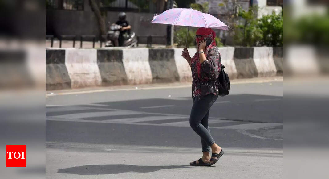 Gender gap in tech access: Telangana women lag behind in smartphone ...