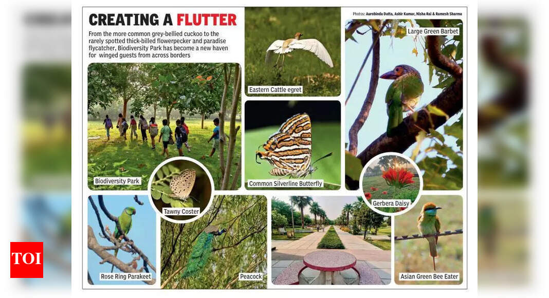 From concrete to canopy: How Noida’s Biodiversity Park turned a bird ...