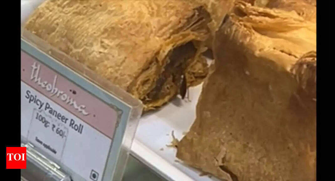 'Literally what we were placing order for': Cockroach crawls over ...