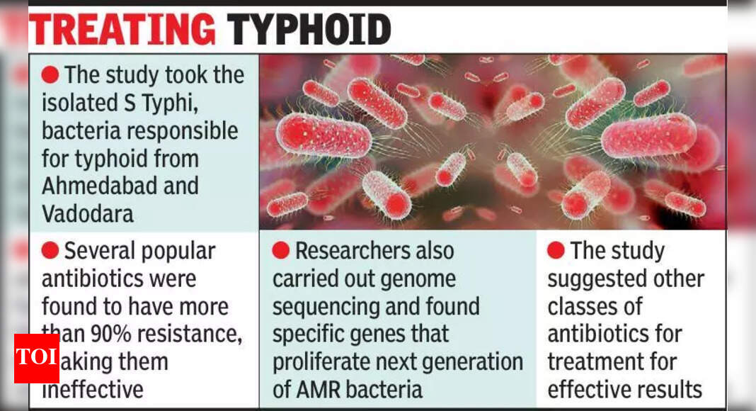 Are antibiotics losing battle against typhoid? | Ahmedabad News - Times ...