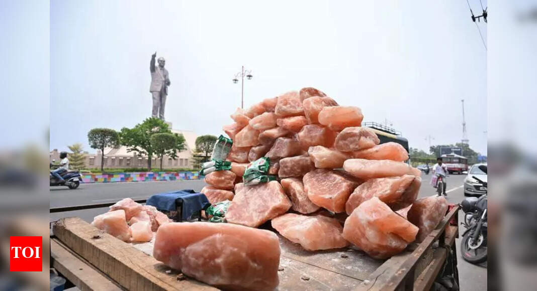 Average Indian’s Daily Salt Intake Double WHO’s Recommendation | Delhi ...