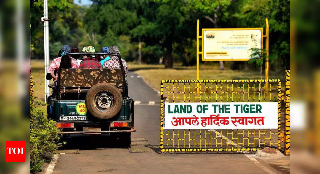 Fast-track Tiger Safari funding and it’s implementation: Naik | Nagpur ...