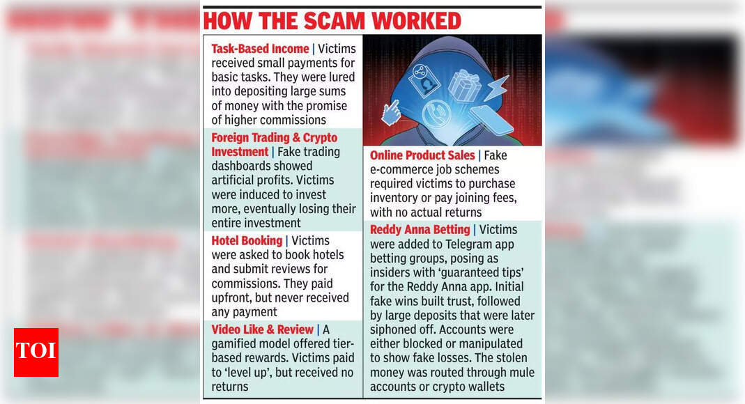Call centre of cyber scam busted, 15 held | Lucknow News - The Times of ...