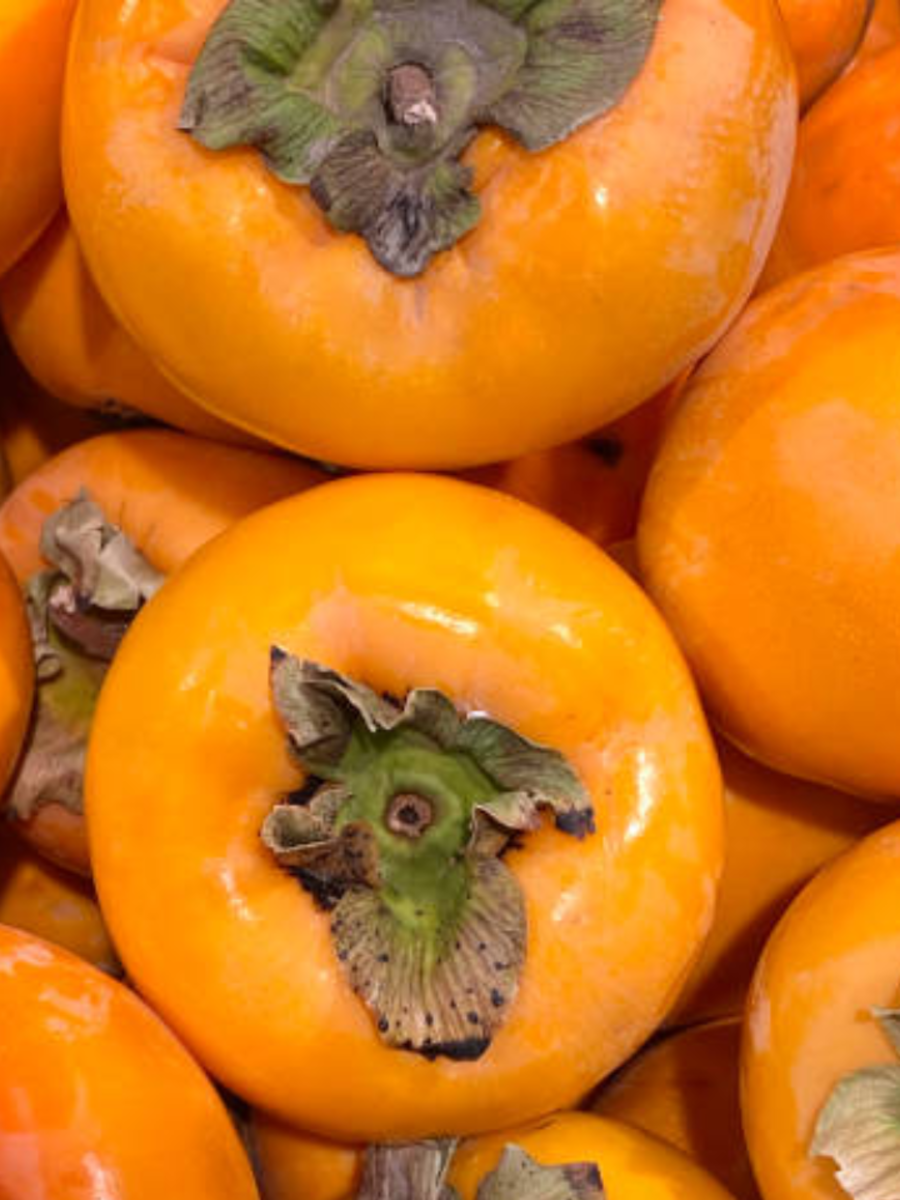 Persimmon Benefits: 8 health benefits of eating American persimmon ...