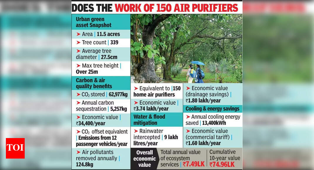 Subhash Park’s trees save Kochi lakhs a year, finds Cusat study | Kochi ...