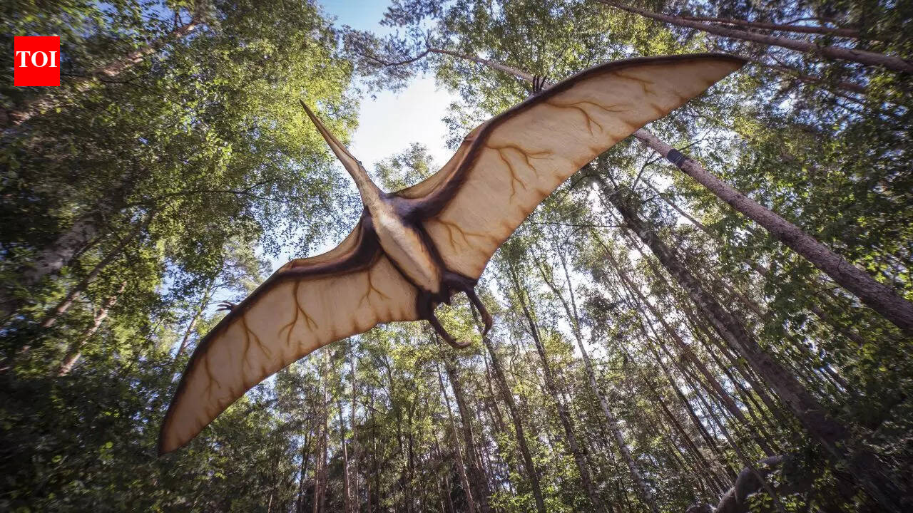 5 most terrifying extinct animals to know about