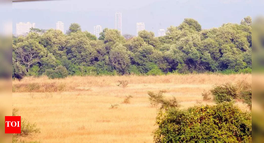 Ghost villages on paper: 413 Telangana hamlets never officially mapped ...