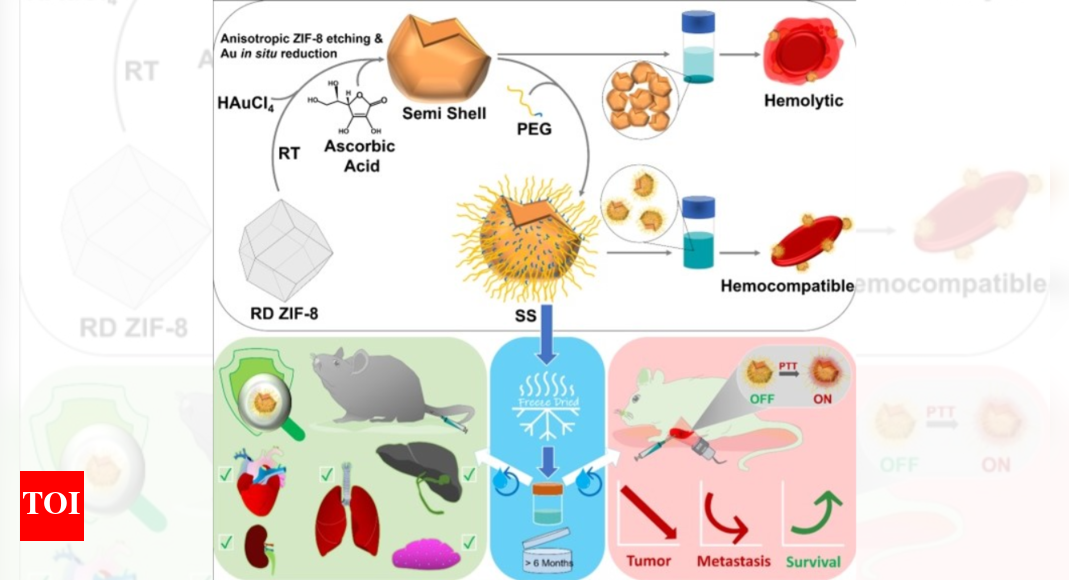 Indian scientists develop nano-cups to zap cancer with heat - The Times ...