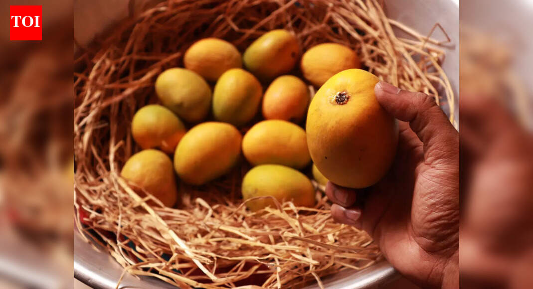 Mango Nutrients: From Vitamin C to protein: 5 nutrients found in Mangoes