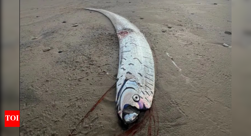 How did the 'Doomsday Fish' get its name, and what is the story behind ...