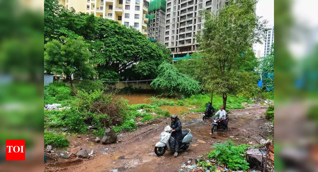 HC deadline to acquire land over, BPLR remains tough to traverse | Pune ...