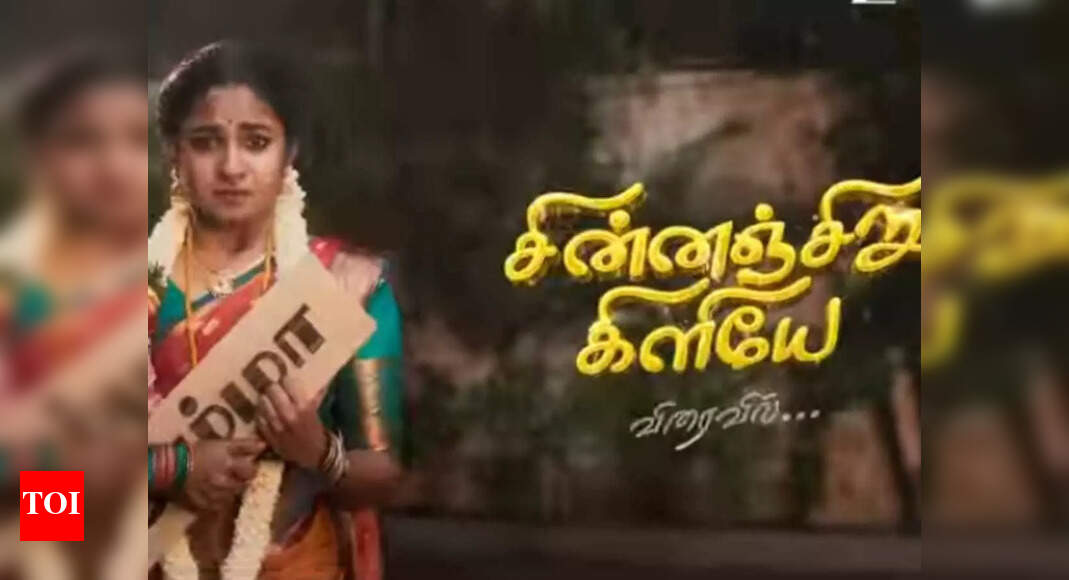 Swathika to play titular role in upcoming Tamil serial ‘Chinnanchiru ...