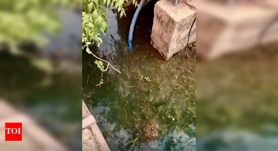 Clogged drains, dirty water from taps: What’s ailing Sector Alpha 1 & 2 ...