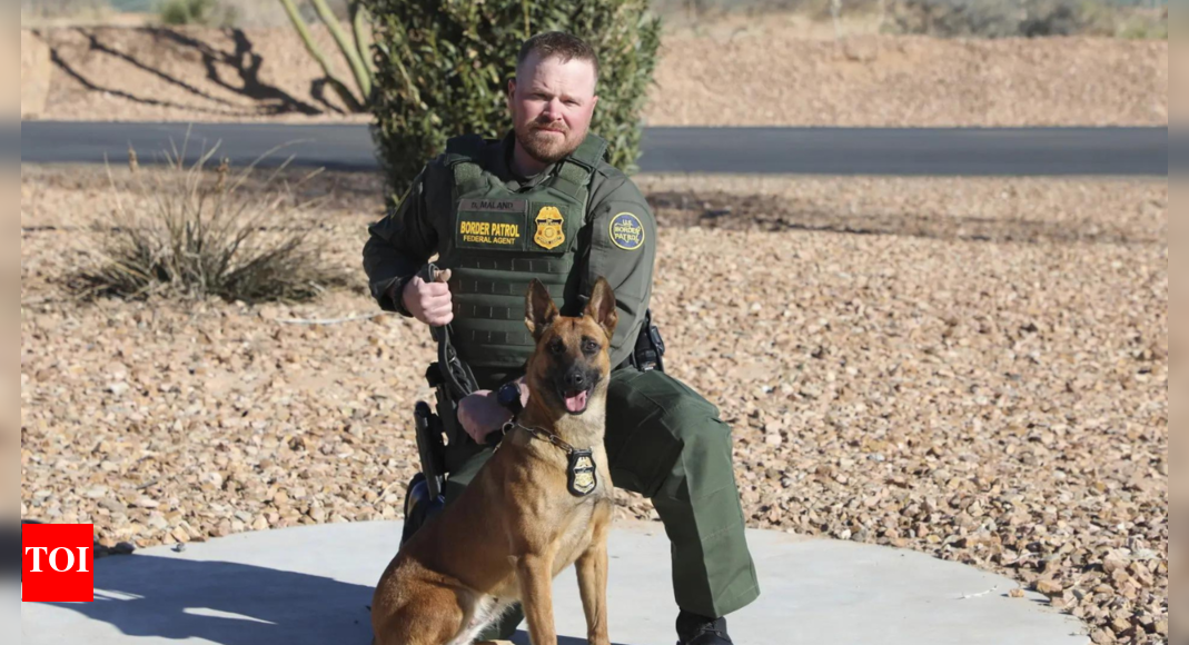 US border patrol is increasingly seen far from the border as Trump ...
