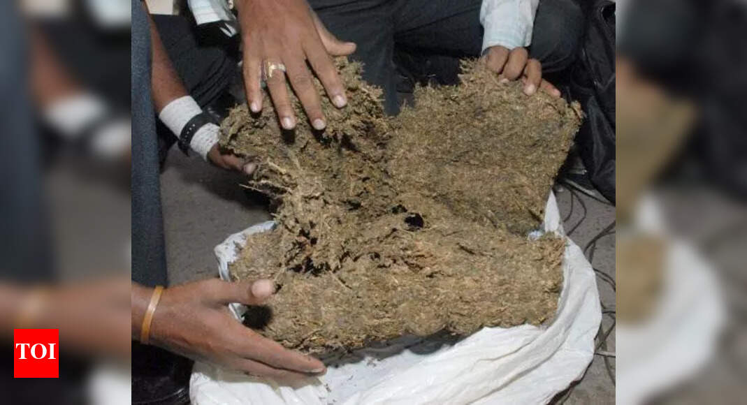 3,000kg beedi leaves meant for smuggling seized | Madurai News - Times ...