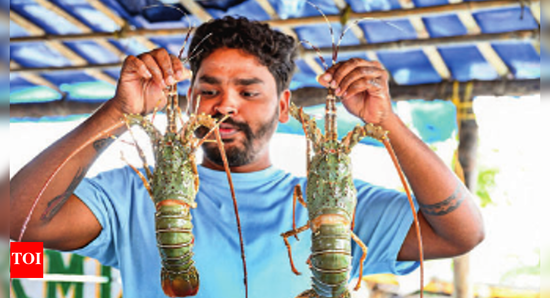 'Facing diseases year after year': Andhra Pradesh faces aquaculture ...