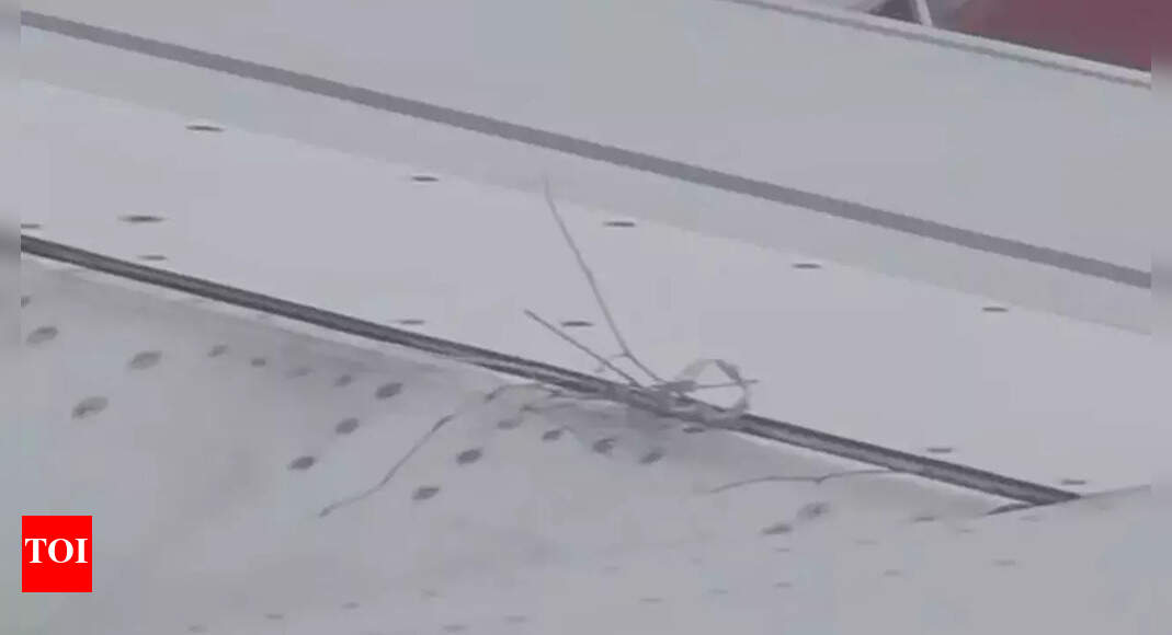 Hay on a wing: Air India’s Mumbai-Bangkok flight delayed; fresh crew ...