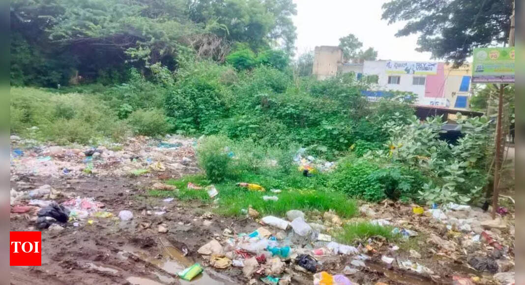 Unmaintained open sites in twin cities pose danger to public health ...