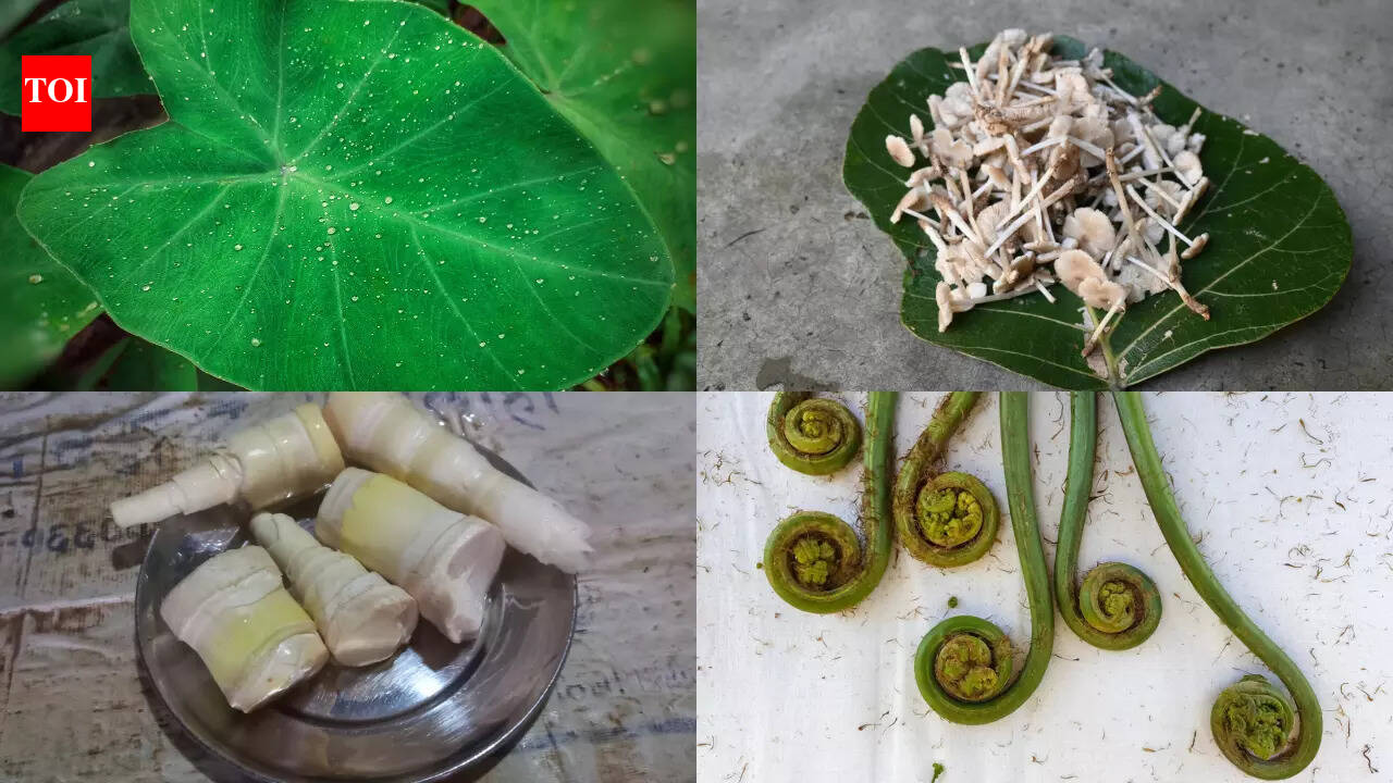 8 vegetables from across India that make monsoon so special