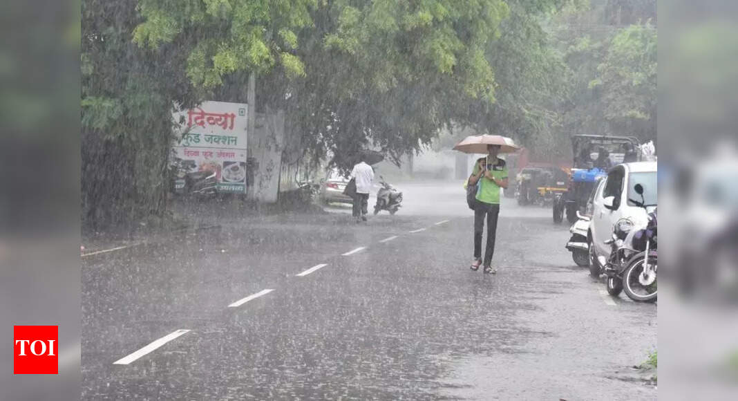 Nashik district receives 26% above average rainfall in June | Nashik News - Times of India