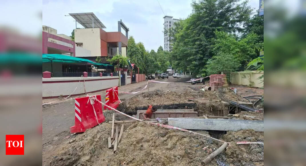 Despite commissioner’s ban a month ago, road digging continues across ...