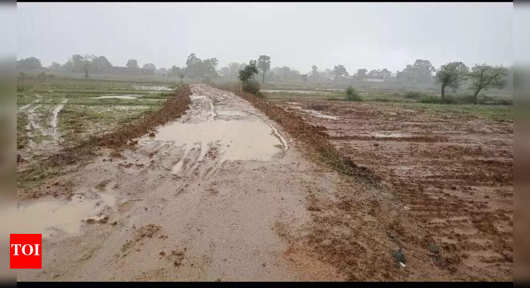 Polpol villagers in Chatra cry for paved road, threaten stir | Ranchi ...