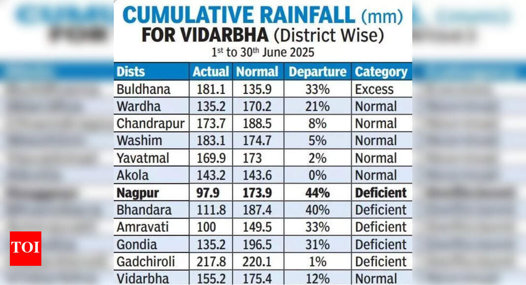 Month-end rain reduce rainfall deficiency in Vidarbha | Nagpur News - Times of India