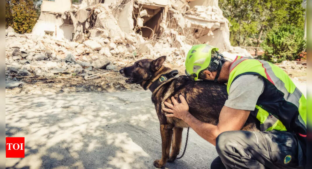 How animals detect and escape natural disasters and why humans fail ...