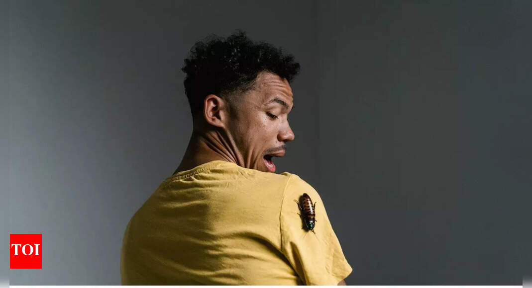 Can cockroaches crawl into your ear while you’re asleep? Here’s what ...