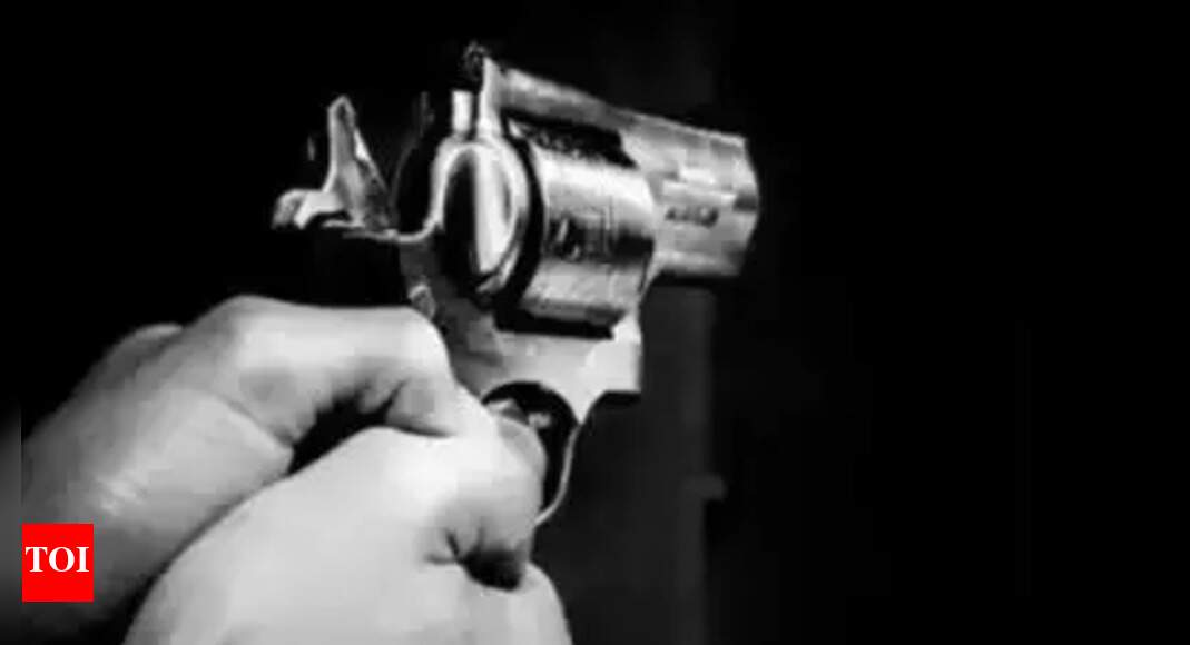 Man pumps 5 bullets into dog that barked at him | Meerut News - Times ...
