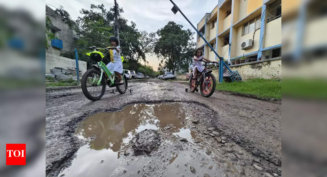Neglected roads, dark streets: Chandigarh’s Air Force Colony crumbles ...