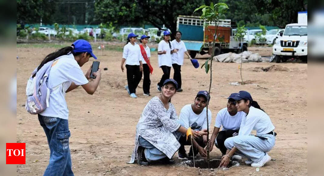 Chandigarh launches citywide tree plantation drive with sapling ...