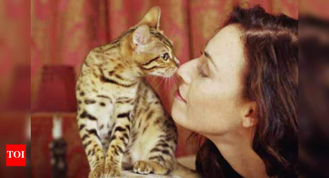 Take a meow, see me in the morning - Times of India