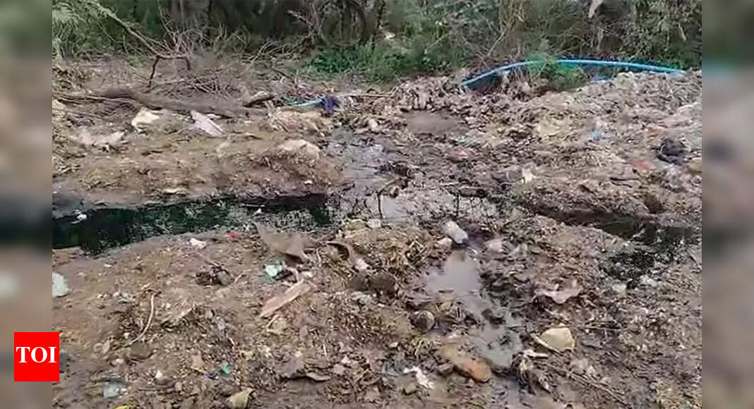 Leachate from Bandhwari spills into Aravalis, forms toxic puddles ...