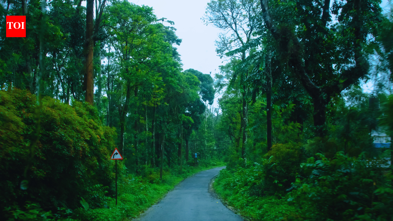 Coonoor Travel: Monsoon magic: 5 best-kept secrets in Coonoor that ...