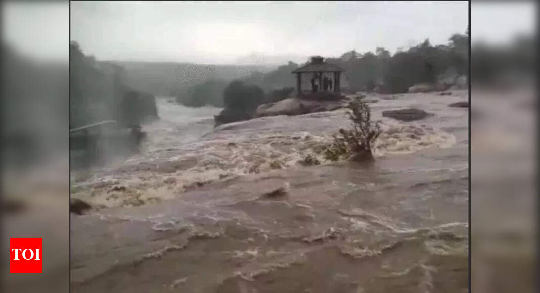 Warning for thunderstorms in Raipur, Durg & parts of state | Raipur ...