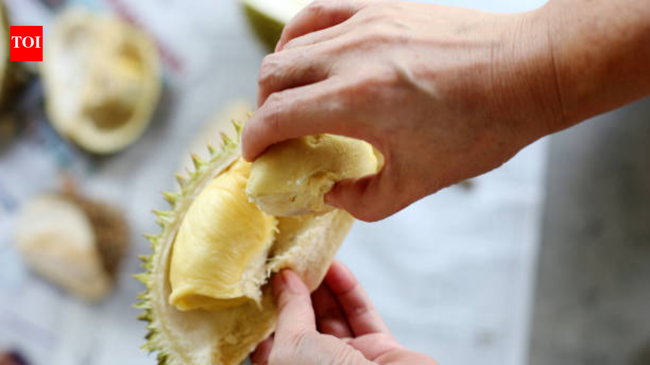 Durian fruit day: Celebrating the superfruit that smells like trouble ...