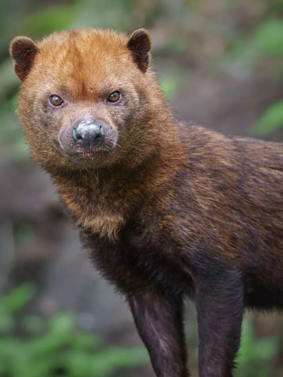 X** full hd movie i got the phone call and found her in the