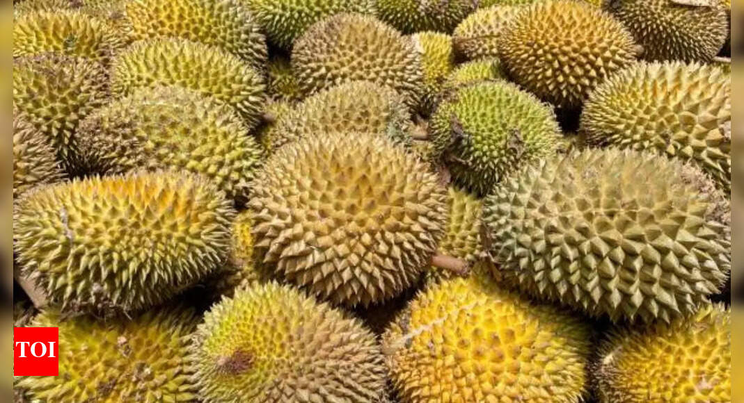 Can Durian and alcohol really kill you? Let’s debunk the myth | - Times ...
