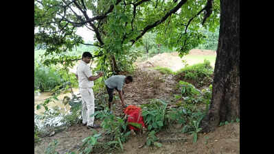 Woman found hanging in forest | Bhubaneswar News - Times of India