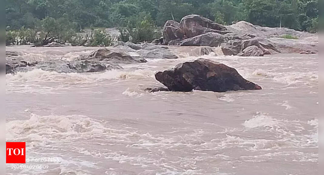 Balod bridge collapses, villages cut off; 41-yr-old drowns in Sakti ...