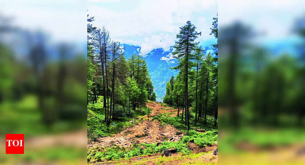 Kullu rises against Bijli Mahadev ropeway | Shimla News - Times of India
