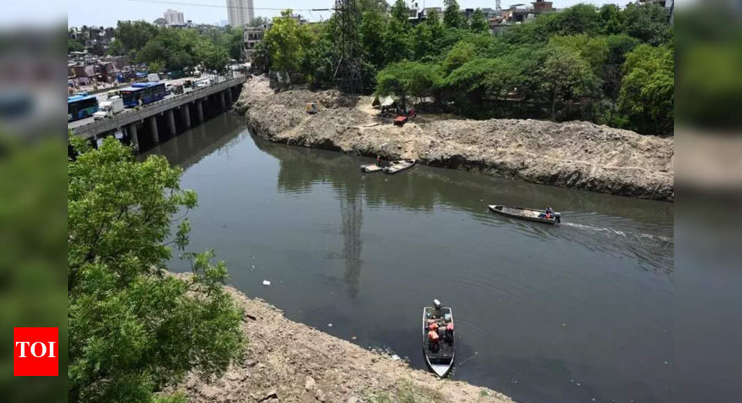 NGT seeks details of plans for stopping untreated sewage flow into ...