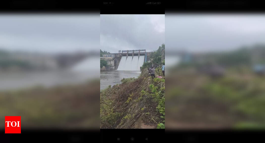 Bhadra dam nears full capacity, surplus water released | Mysuru News ...