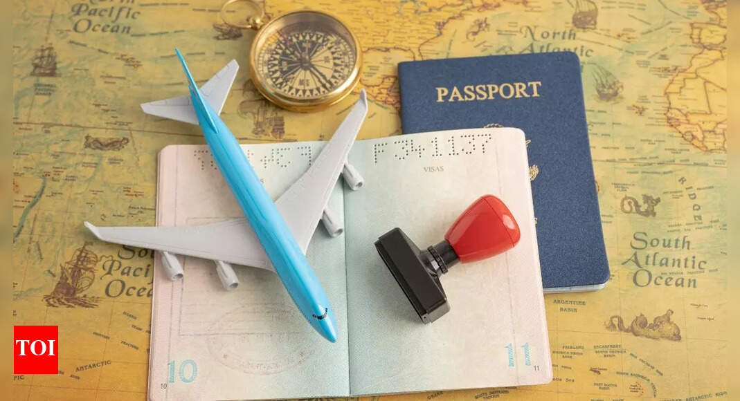 International Travel: Understanding Customs and Immigration: What ...