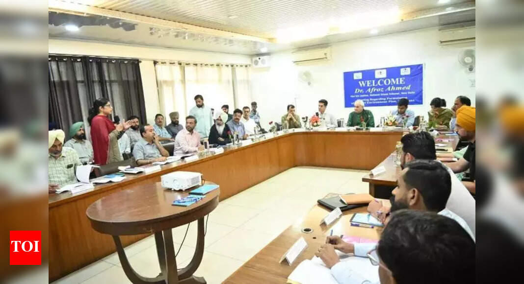 NGT & officials team up to map out city’s green path | Ludhiana News ...