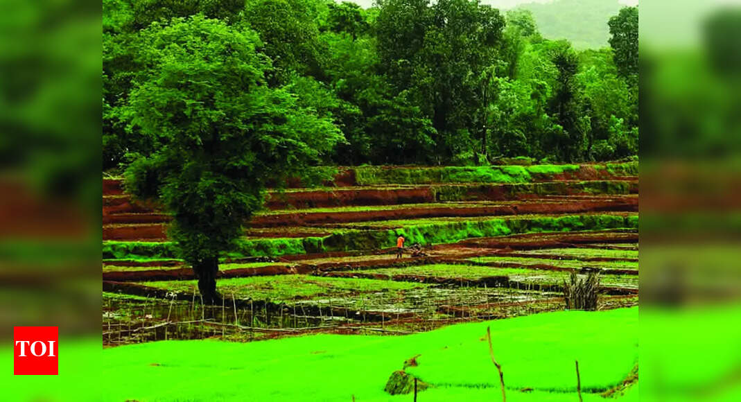 TCP dept gives nod to convert 29.7k sqm land under Sec 39A | Goa News ...