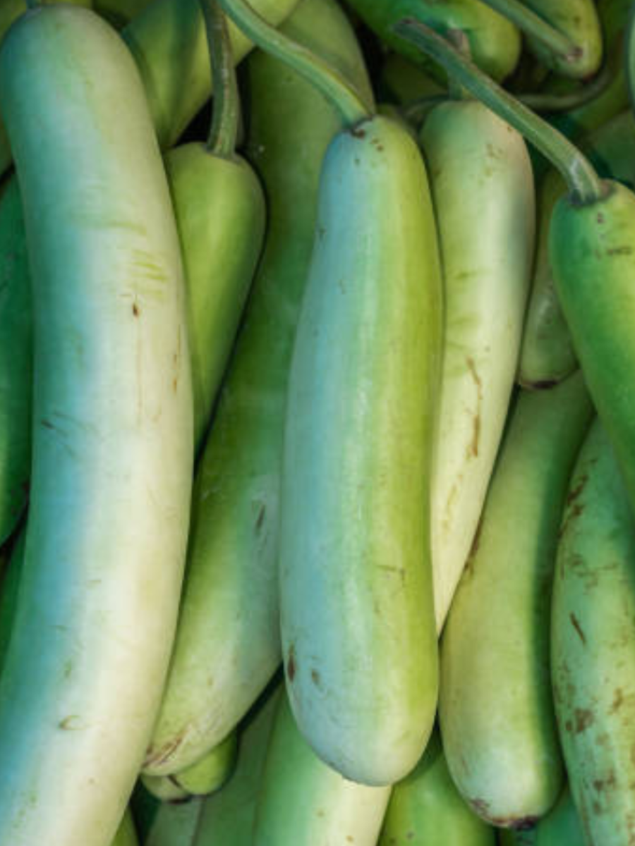 10 lauki recipes from different parts of India | Times of India