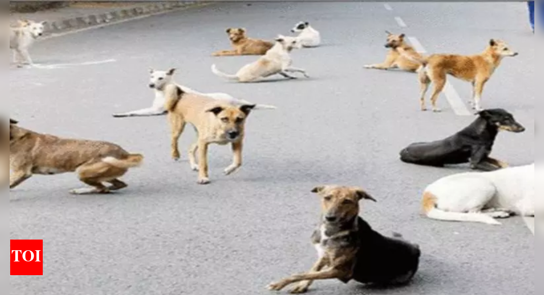 YouTube videos of animal killings result in criminal cases in Telangana ...